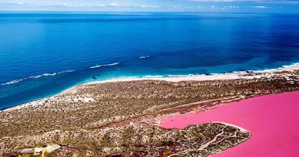 Hutt Lagoon Pink Lake Scenic Flight Experience from Kalbarri - Klook客路
