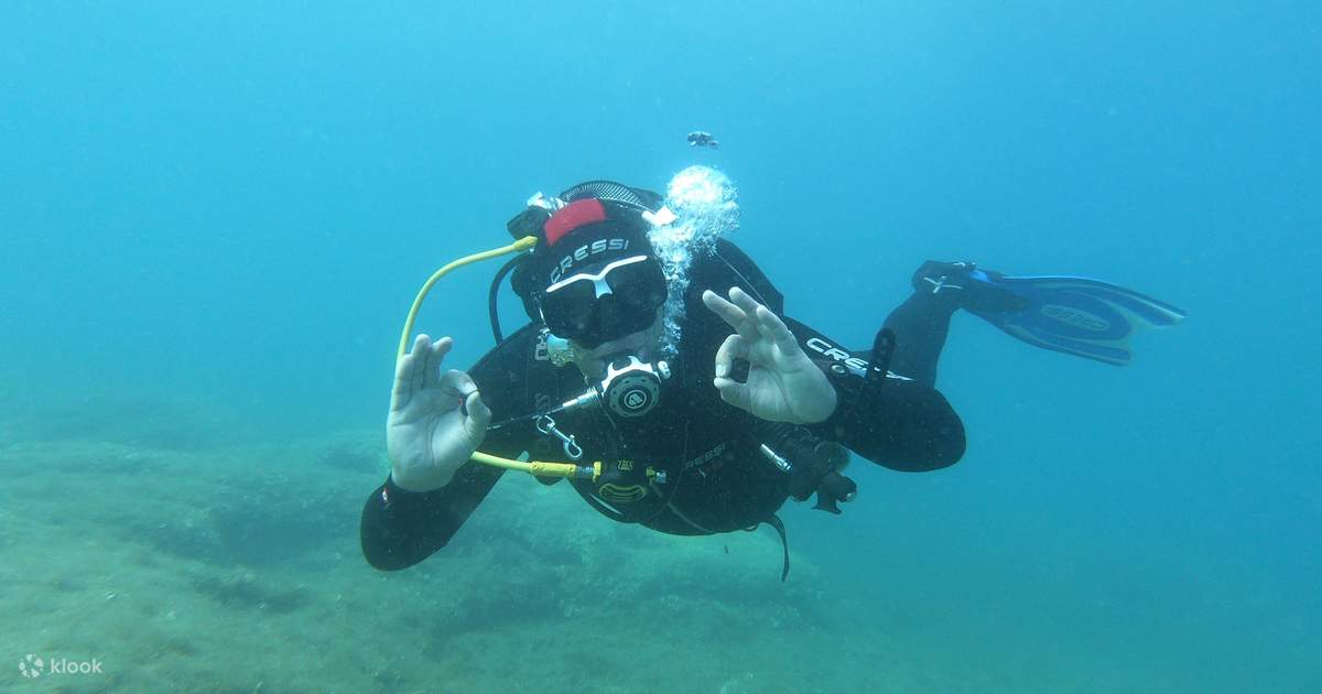 Experience Thrilling Scuba Diving Session in Vlore, Albania - Klook