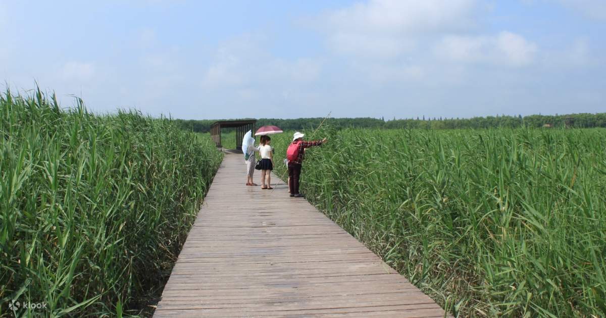 Chongming Island Whole Day Cycling Tour from Shanghai, China - Klook