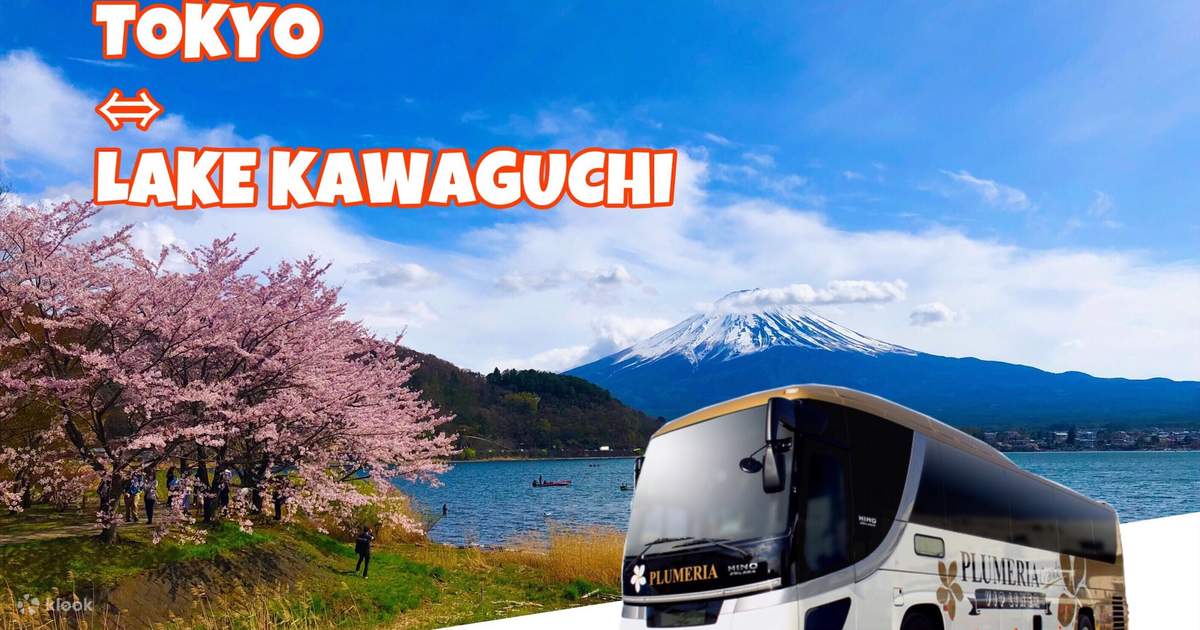 东京和河口湖之间的单程巴士车票 - Klook客路
