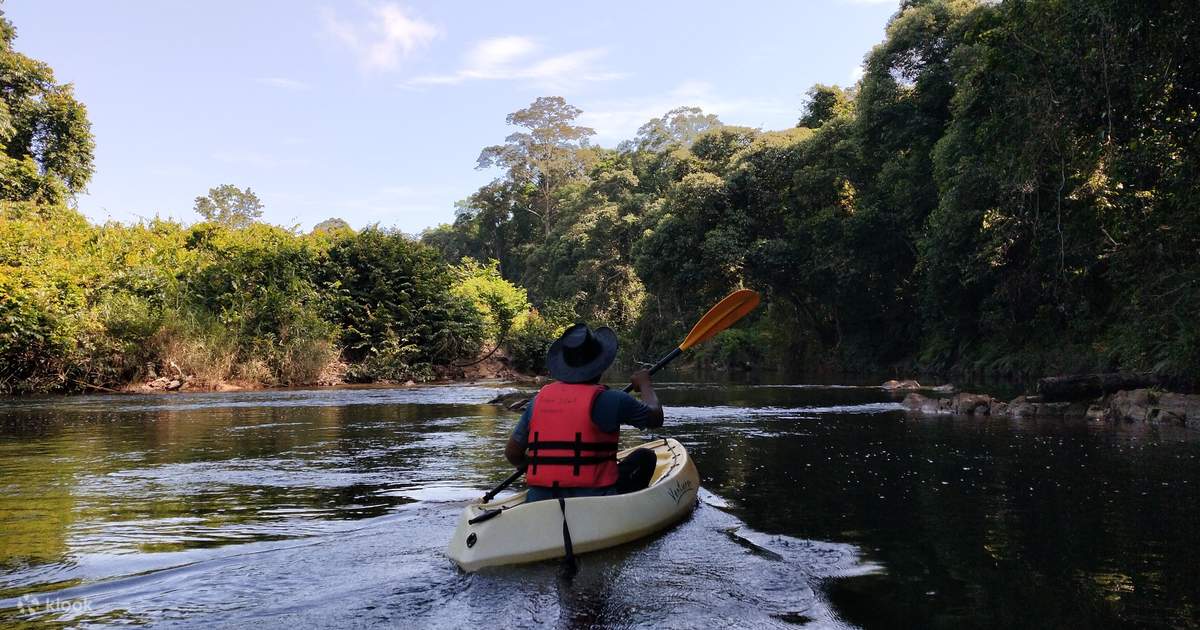 Join In Kayaking in Taman Negeri Rompin and Pahang - Klook