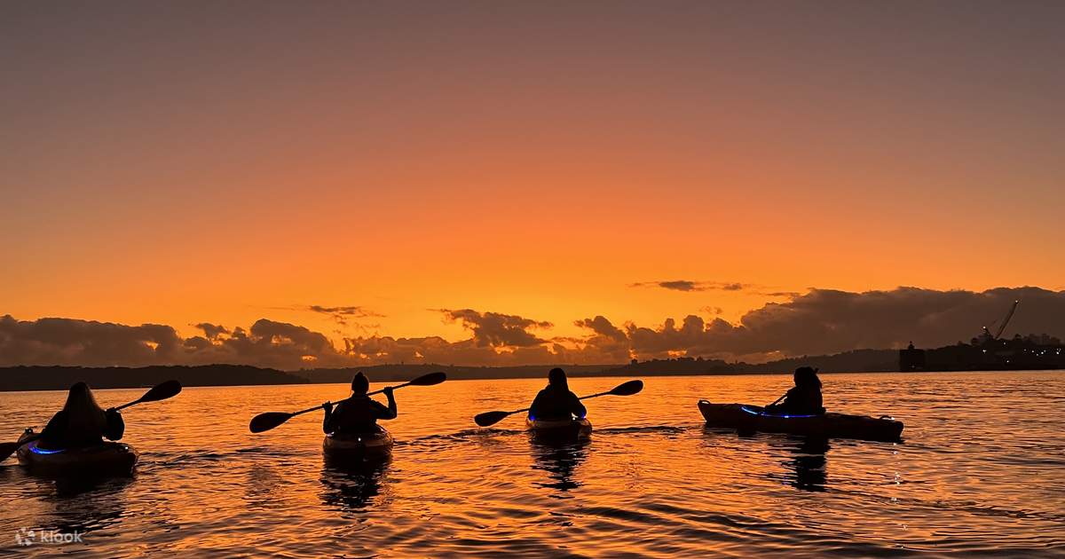 Sunrise Kayak on Sydney Harbour with Breakfast Tour - Klook