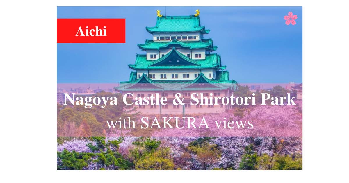 Nagoya Castle and Shirotori Park Join In, Private One Day Landmark Tour ...