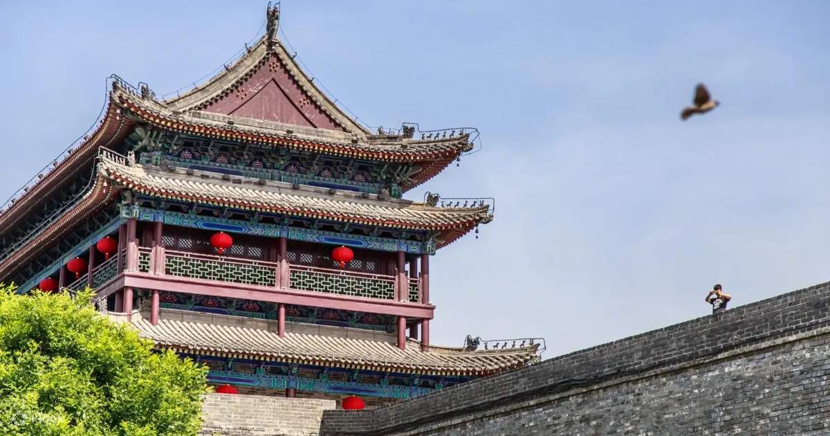 Private Guided Day Tour of Xi'an Giant Wild Goose Pagoda, Xi'an City ...