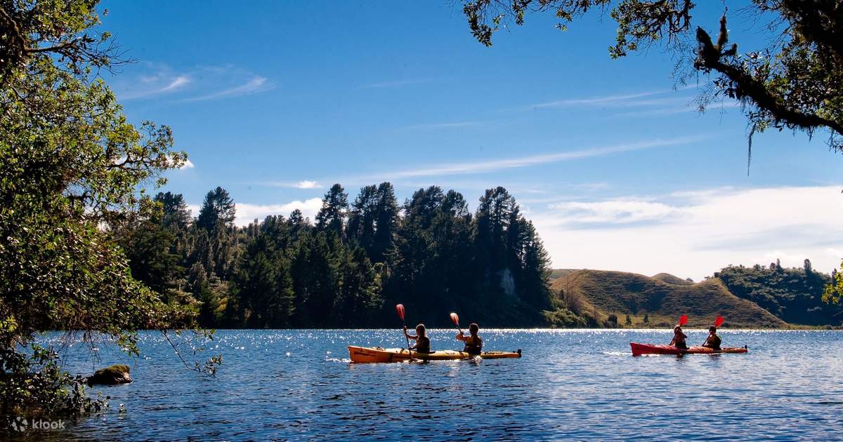 Rotorua Scenic Lake Rotoiti Kayak Tour with Optional Hotel Pick Up ...