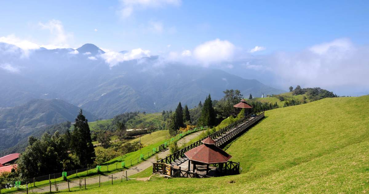 Nantou: Qingjing Farm and Hehuan Mountain One-Day Tour - Klook United ...