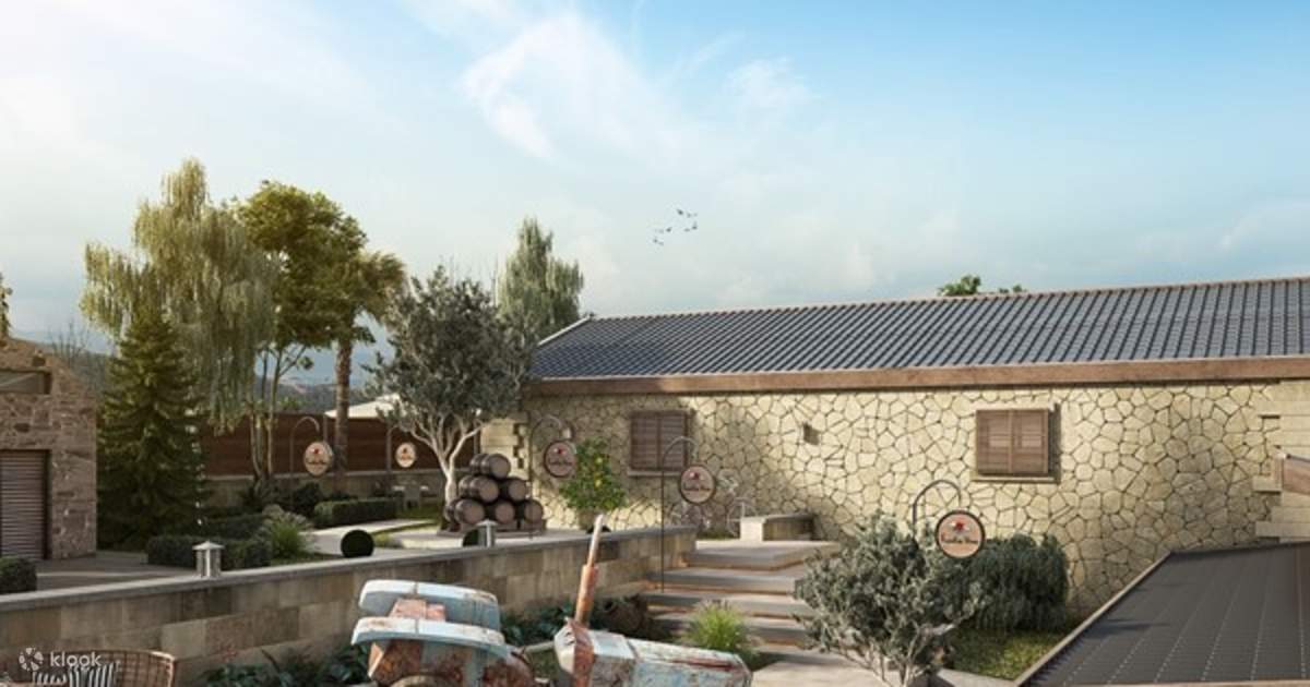 Discover the Hidden Secrets of Wine and Olives - Klook Singapore