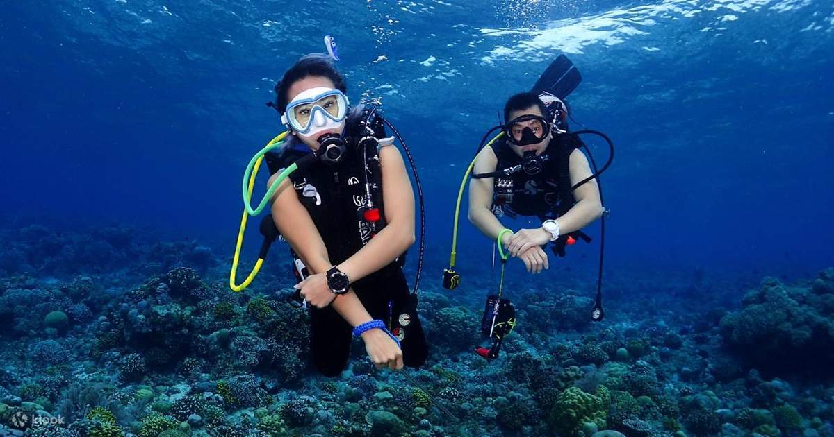 Penyelam Air Terbuka Termaju PADI di Jakarta | Menyelam bersama PADI ...
