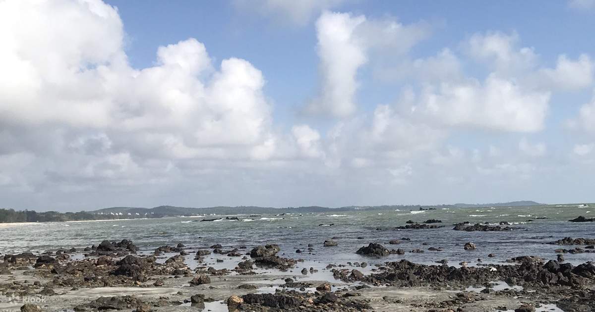 90 Minutes Beach and Tide Pool Walk in Desaru Walking Tour - Klook ...