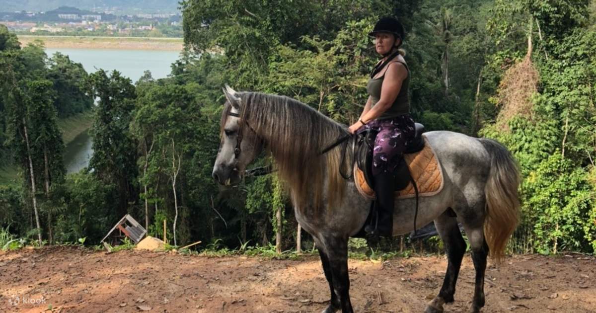 Horseback Riding Experience in Phuket - Klook Philippines