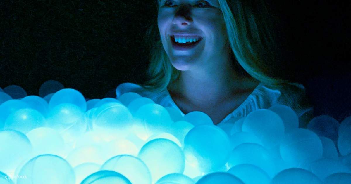 Odyssey Sensory Maze Ticket in Auckland - Klook