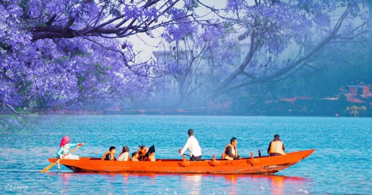 Yunnan Kunming Jacaranda and Cang'er Lugu｜7 days and 6 nights 2~7 ...
