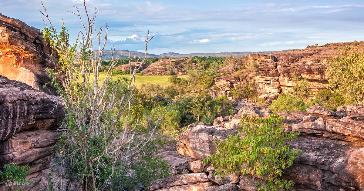 Kakadu National Park and Mary River Adventure Full Day Tour from Darwin ...