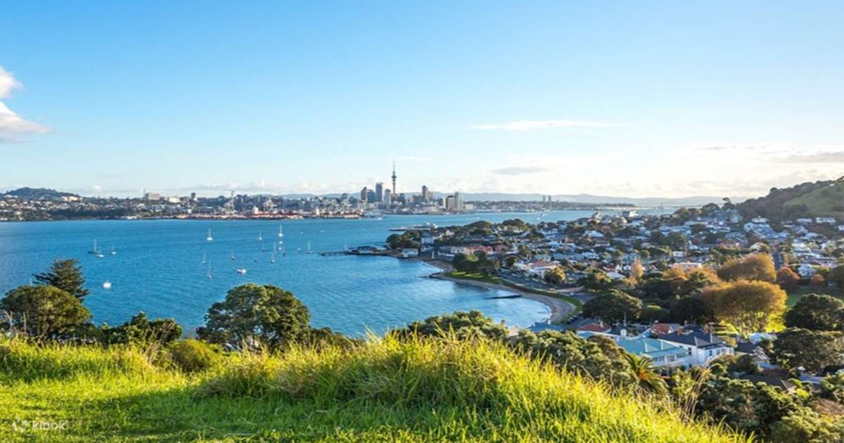 Discover Auckland City Tour The City of Sails - Klook