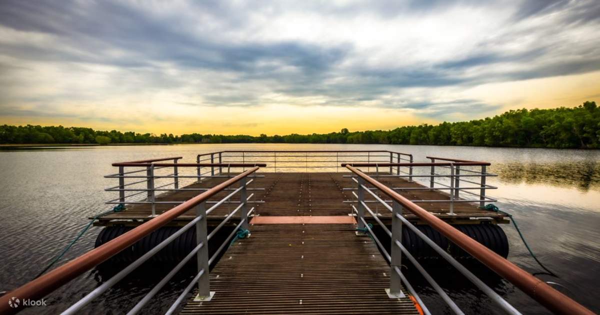 Paya Indah Discovery Wetlands Experience at Gamuda Cove Selangor - Klook