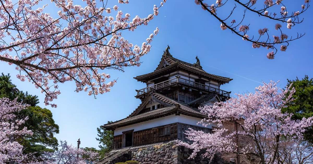 Kanazawa Fukui Cherry Blossom Viewing Tour (2 Days, 1 Night ...