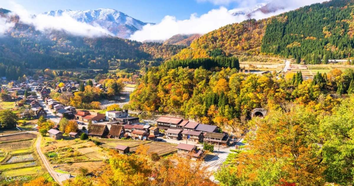 Tur Satu Hari Mobil Charter Nagoya yang Disesuaikan - Klook Indonesia