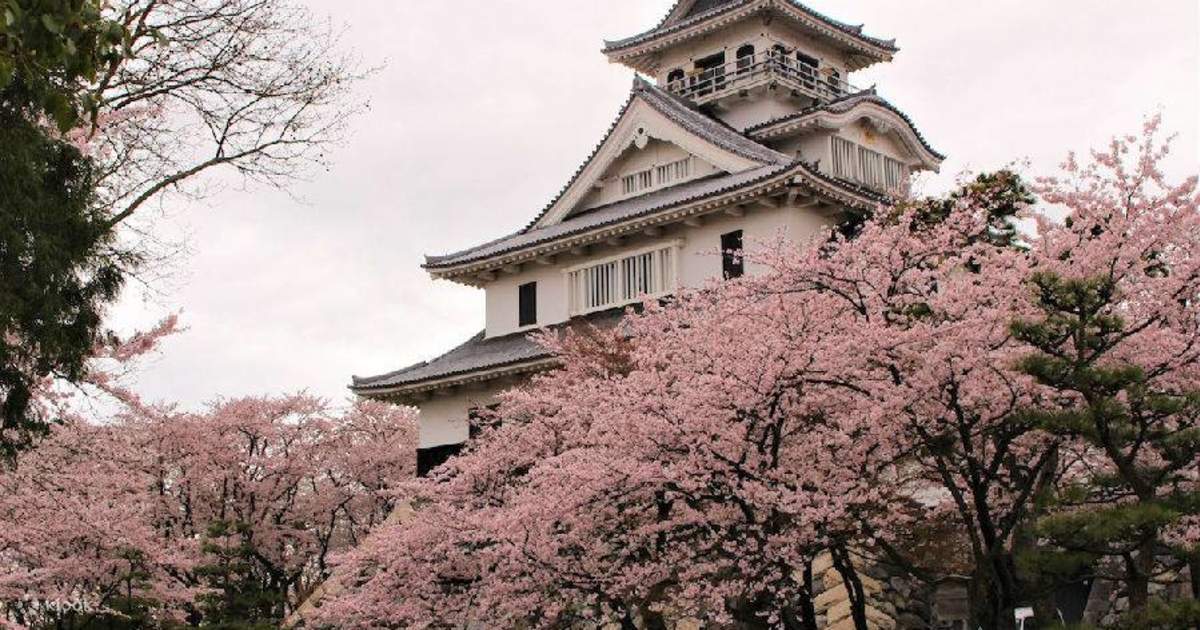 Shiga Nagahama "Odekake" Passport (2 Days) - Klook Australia