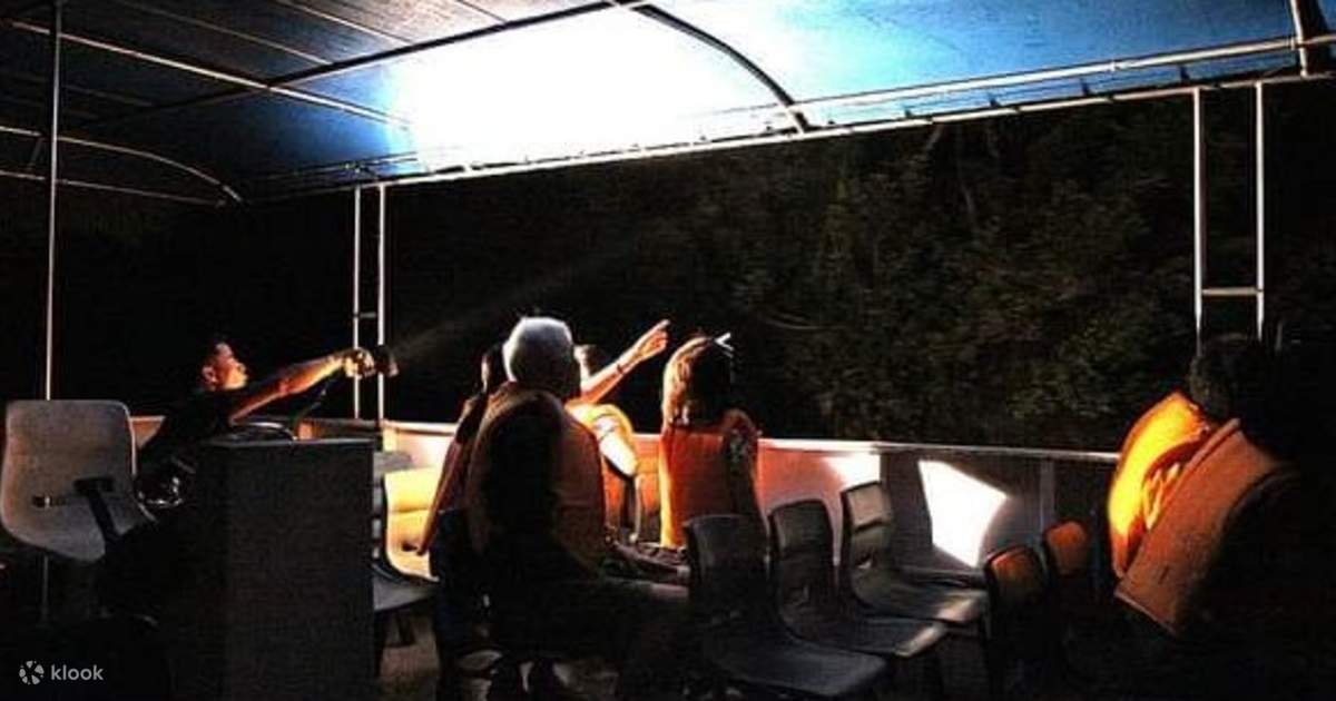 Kota Tinggi Firefly River Cruise Tour in Johor Bahru - Klook United States