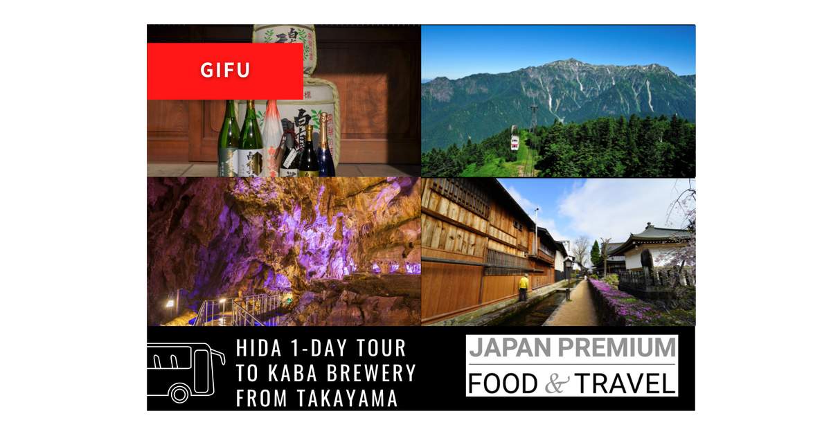 Hida Great Limestone Cave Private Day Car Tour from Hida - Klook
