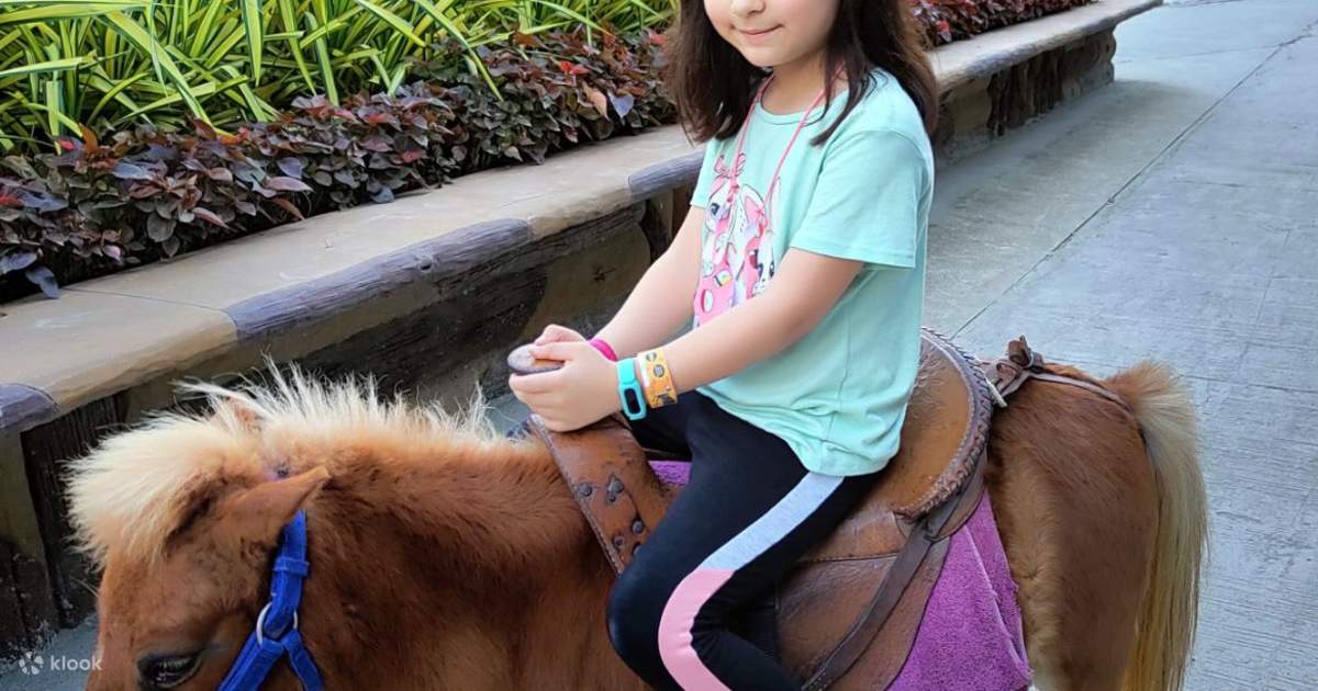 Clark Safari and Adventure Park Ticket - Klook Philippines