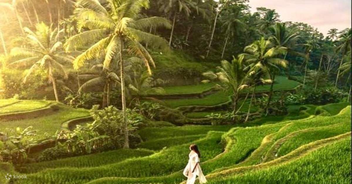 Ulun Petanu Waterfall, Tibumana Waterfall, and Tegallalang in Bali ...