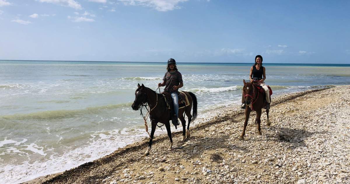 Private horseback riding experience on the beaches of Sciacca - Klook ...
