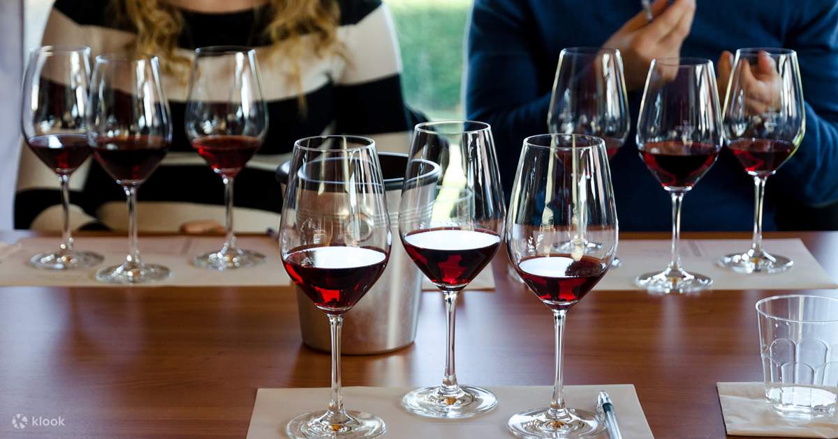 Online Wine Tasting Class with an Italian Sommelier from Venice - Klook ...