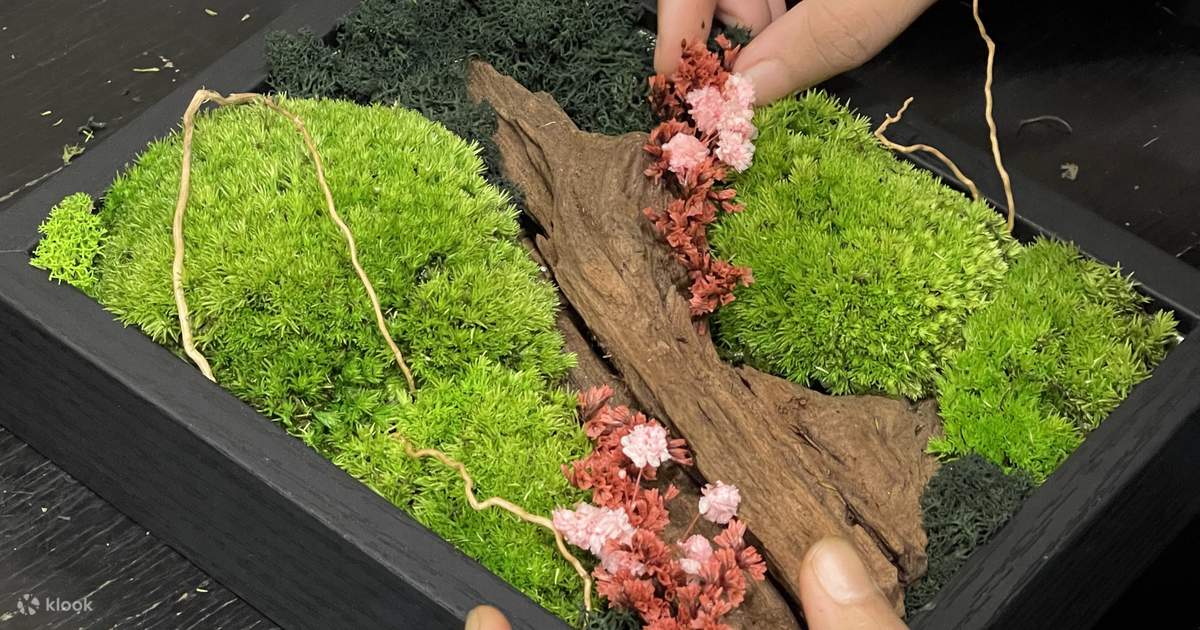Moss Frame DIY Workshop in Johor Bahru - Klook