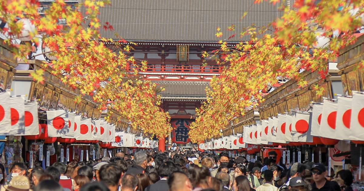 Tokyo Amazing Sightseeing Bus Day Tour - Klook United States