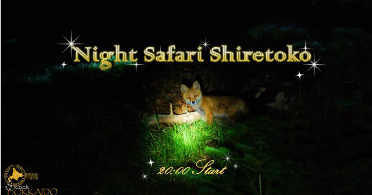 Dua Jam Safari Malam Shiretoko Sertai Lawatan Berpandu - Klook Amerika ...