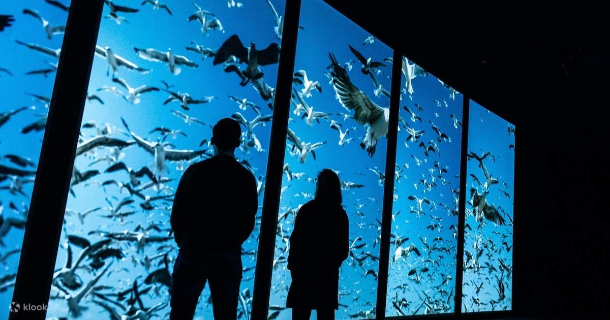 里斯本水族馆海洋馆门票 Klook客路