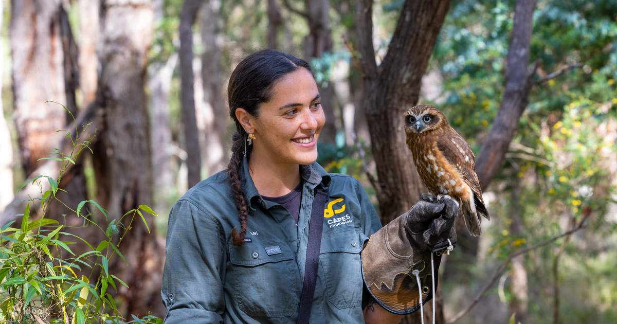 Capes Raptor Centre Ticket in Margaret River - Klook Singapore