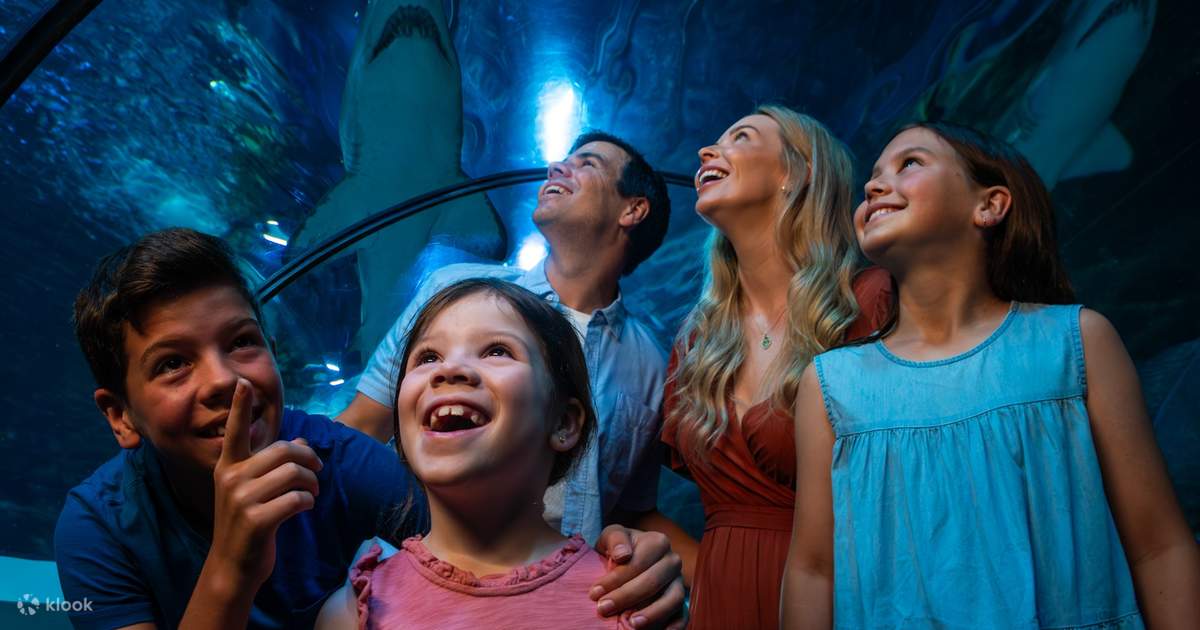 Tiket masuk Underwater World SEA LIFE Mooloolaba - Sunshine Coast ...