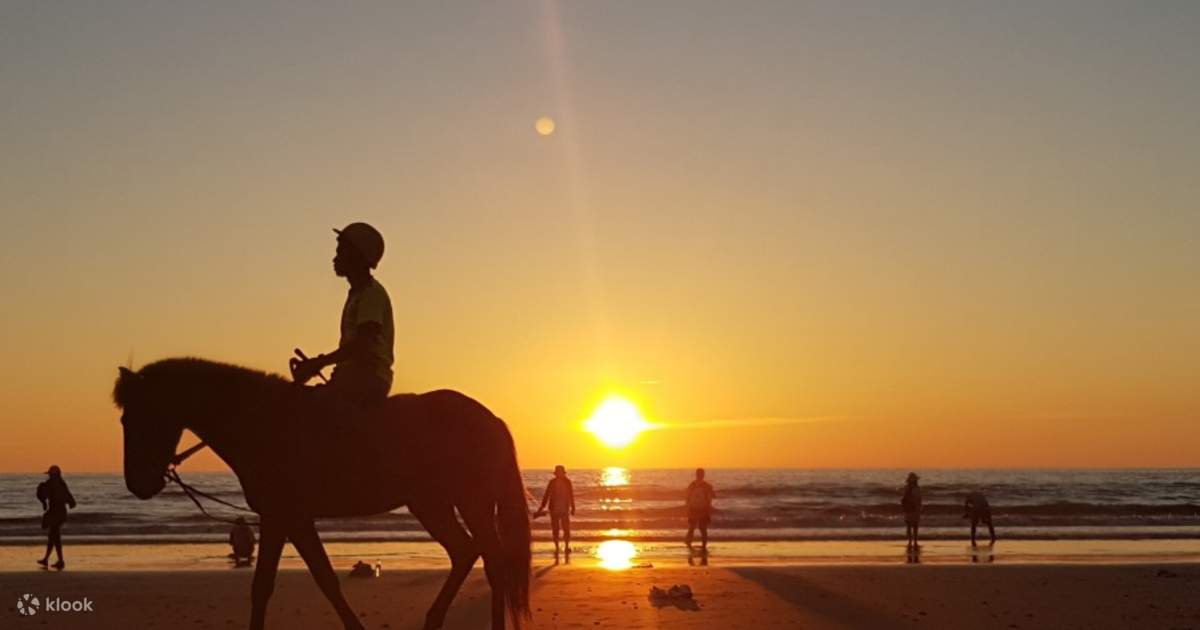 Crucero por el río Kawa Kawa para avistar fauna silvestre y luciérnagas ...