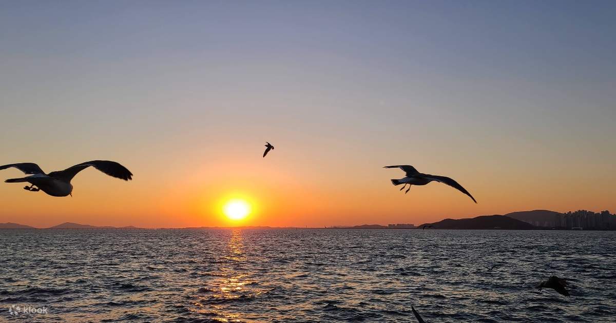 Incheon Sunset and Seafood Tour - Klook