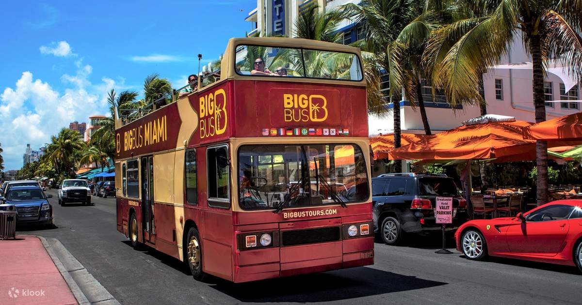 Miami Big Bus Hop-On Hop-Off Tours (Open-Top) - Klook Stati Uniti