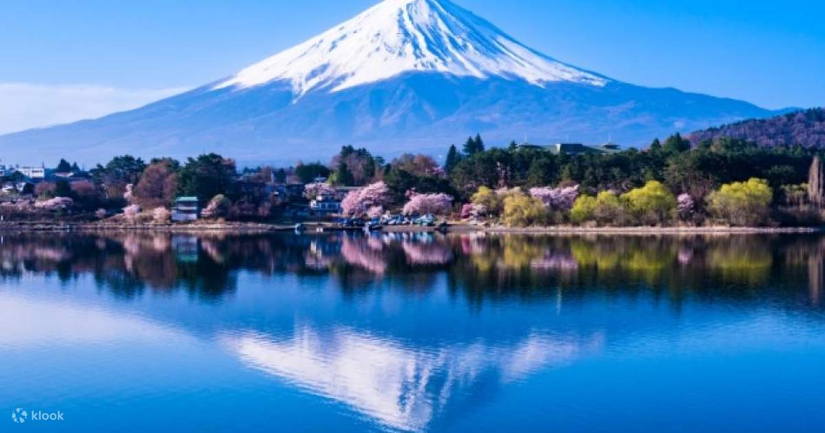 Mt. Fuji Day Tour from Tokyo｜Mt. Fuji 5th Station・Arakurayama Sengen ...