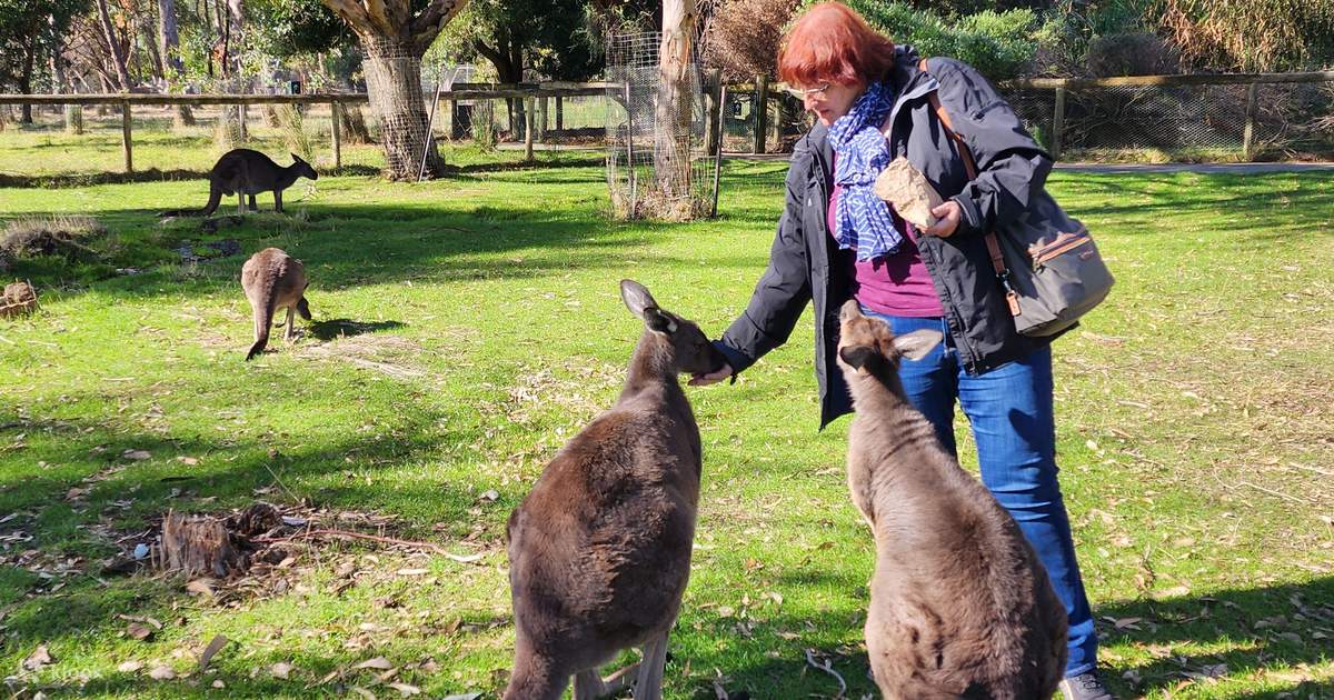 Cleland Wildlife Park & Historic Hahndorf Adelaide Hills Experience ...