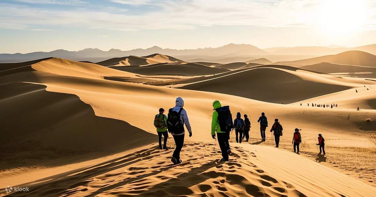 Ningxia Tengger Desert Five Lakes 4-day Tour (Desert Starry Sky Camping ...