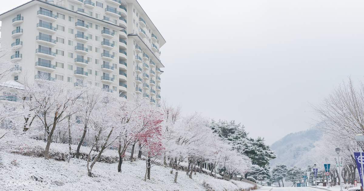 Winter Magic: Elysian Resort Ski & Snowboard & Sledding Day Tour - Klook