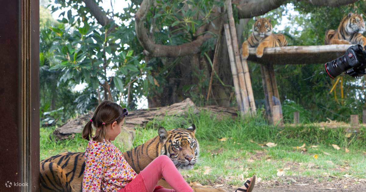 Taronga Zoo Entry Ticket - Klook Singapore
