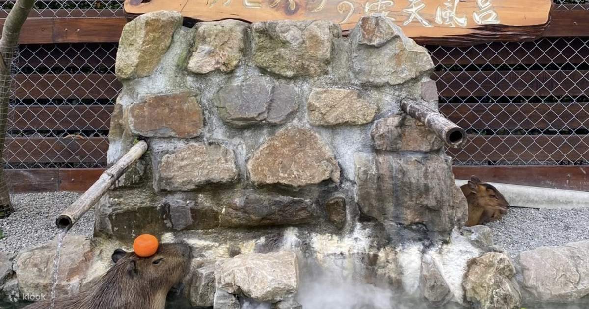 Yilan Zhang Mei Ama Farm Day Tour from Taipei - Klook