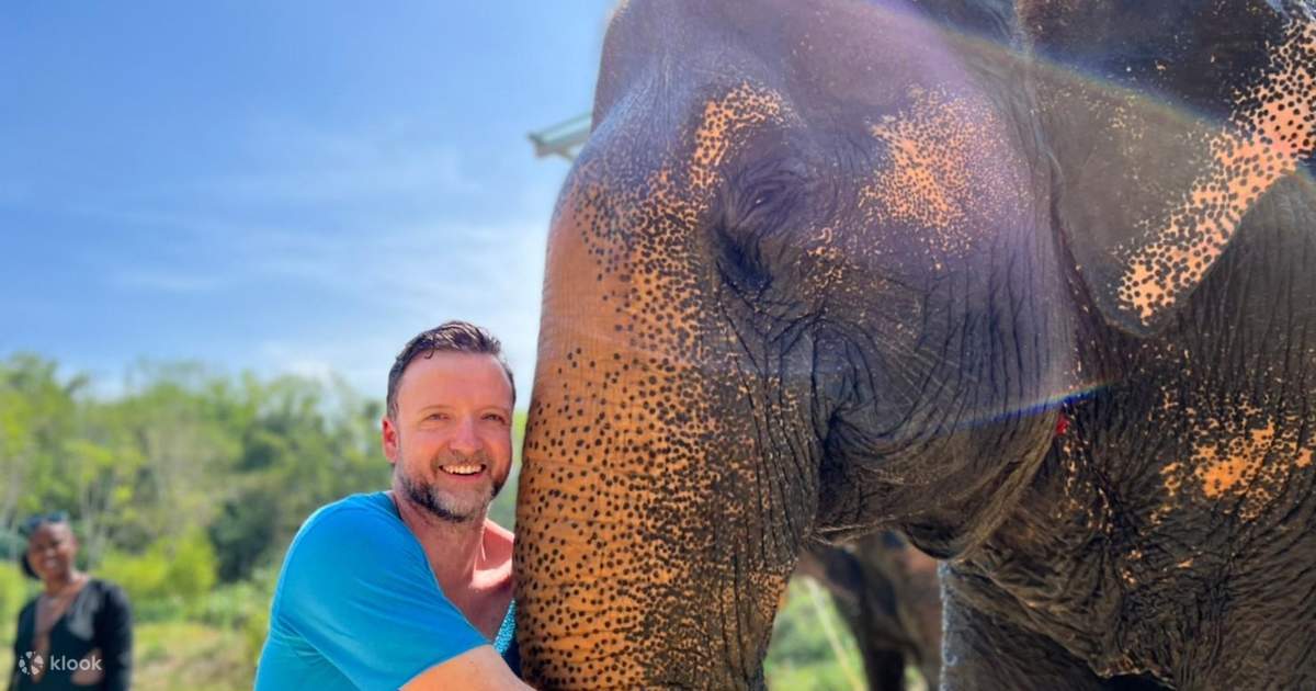 Join In Phuket Elephant Care Sanctuary in Phuket - Klook