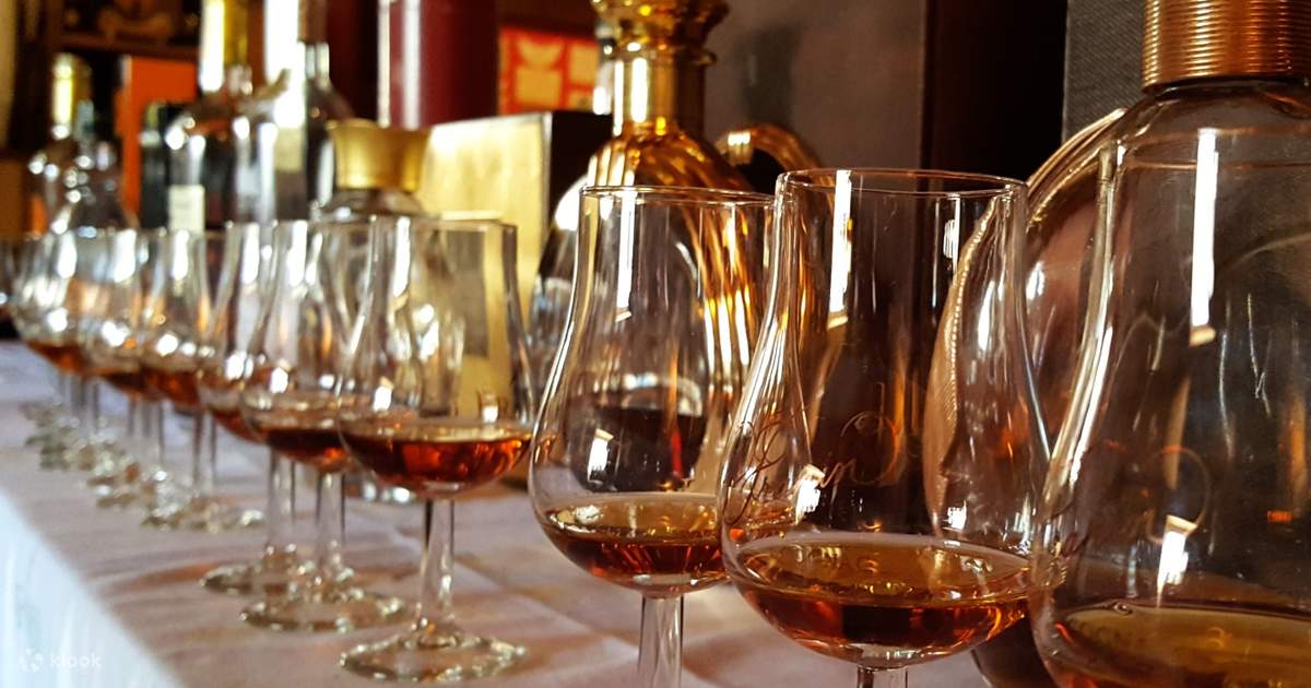 Cognac Distillery and Bordeaux Winery Private Tour from Cognac, France ...