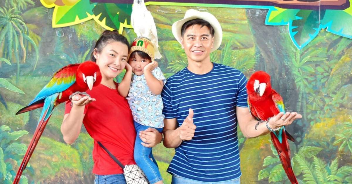 Pattaya Sheep Farm Ticket - Klook