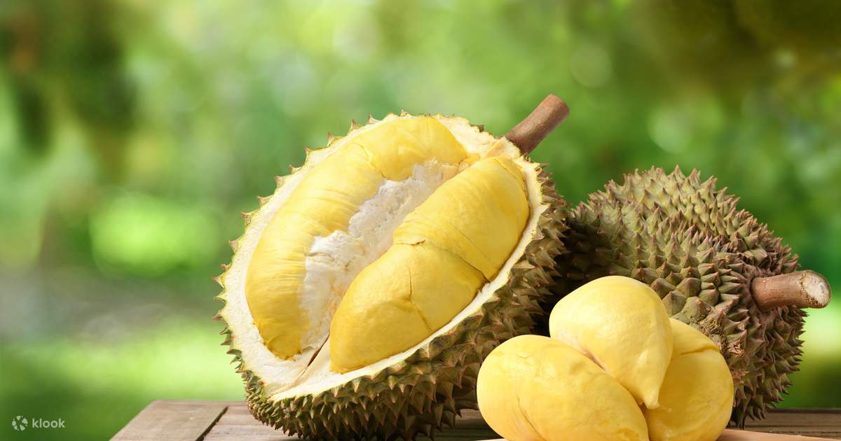 Durian Delight Day Tour - Klook