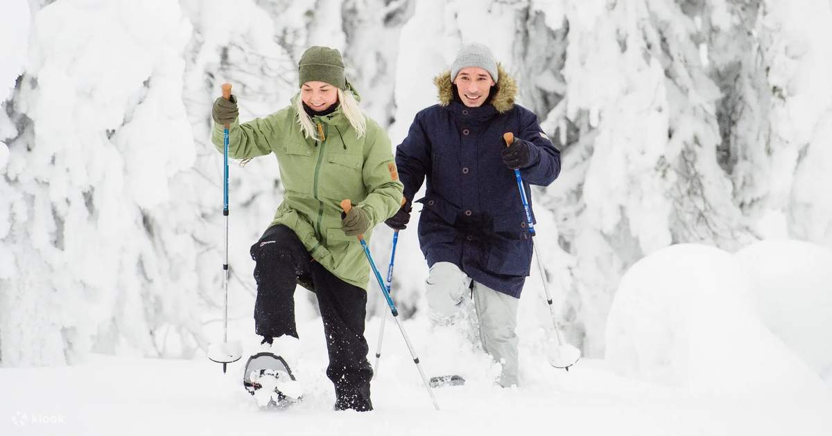 Nordic Nature: Two-Hour Snowshoeing by Lake Inari - Klook