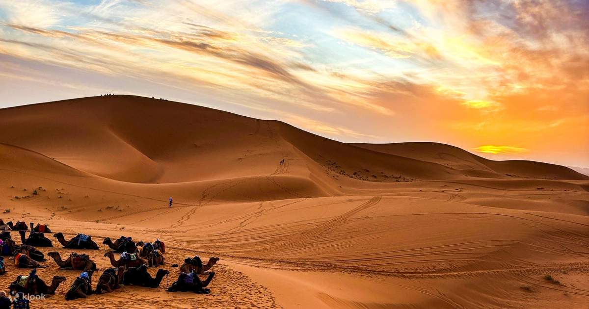 Sahara Desert & High Atlas Multi-day Private & Desert Tour - Klook Canada