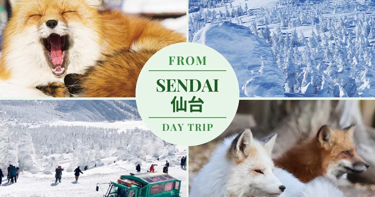 Zao Juhyo & Zao Fox Village One-Day Tour (Departing from Sendai) - Klook